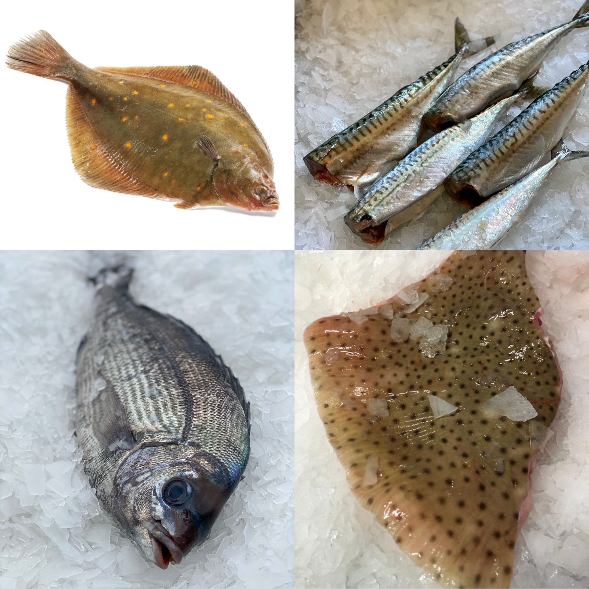 Box du Pêcheur - Acheter poissons frais box pecheur