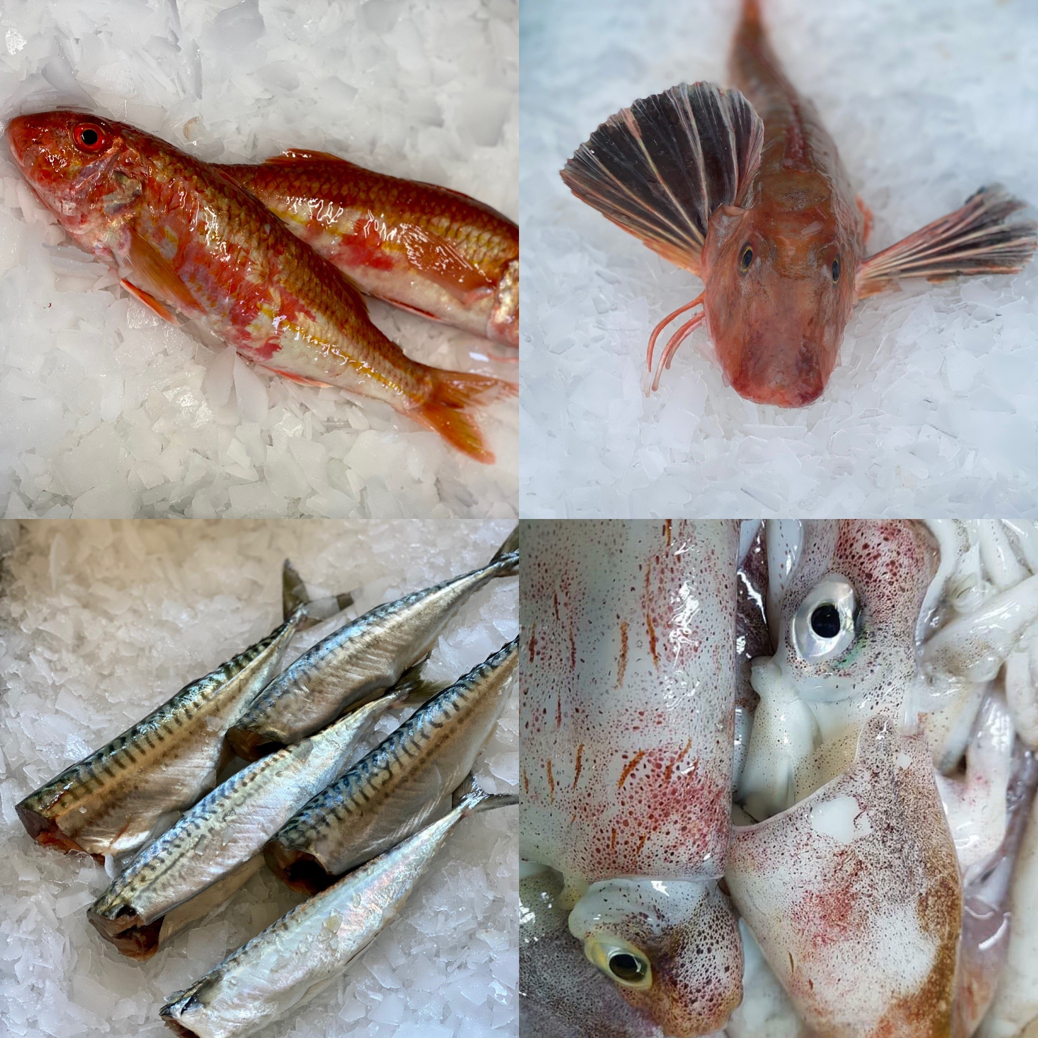 Box du Pêcheur - Acheter poissons frais box pecheur