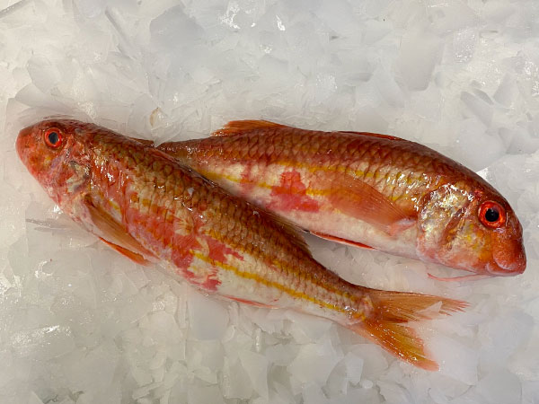 Rouget Barbet - Acheter du rouget barbet frais